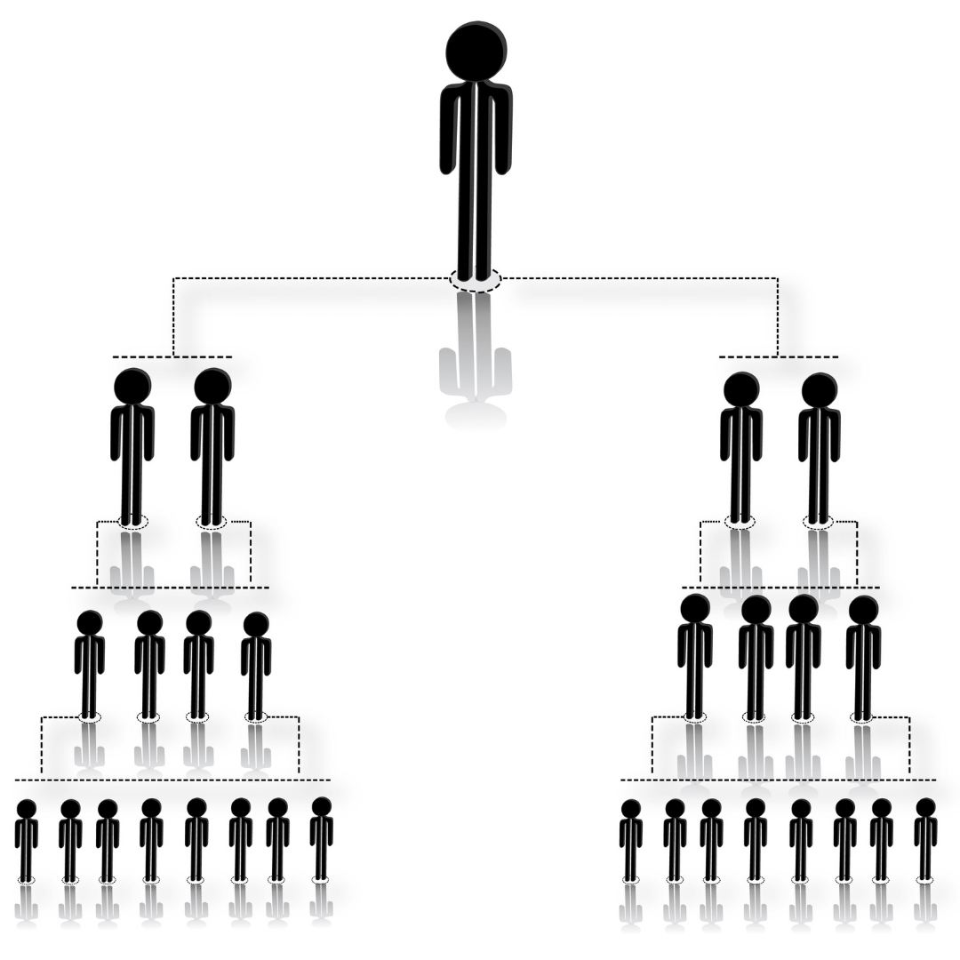 Organisational chart - My Secretary
